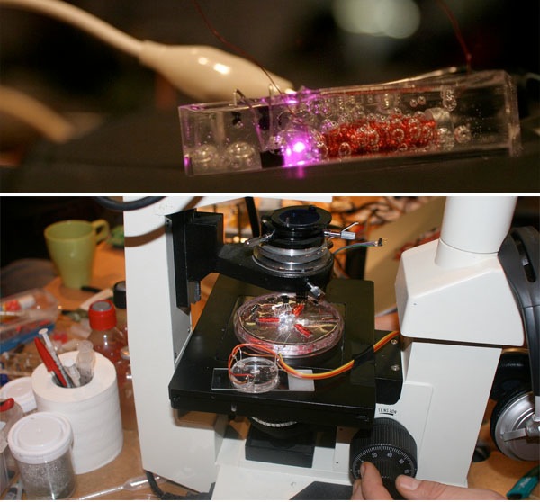 Make: Japan | MediaLab PradoのGarage Science